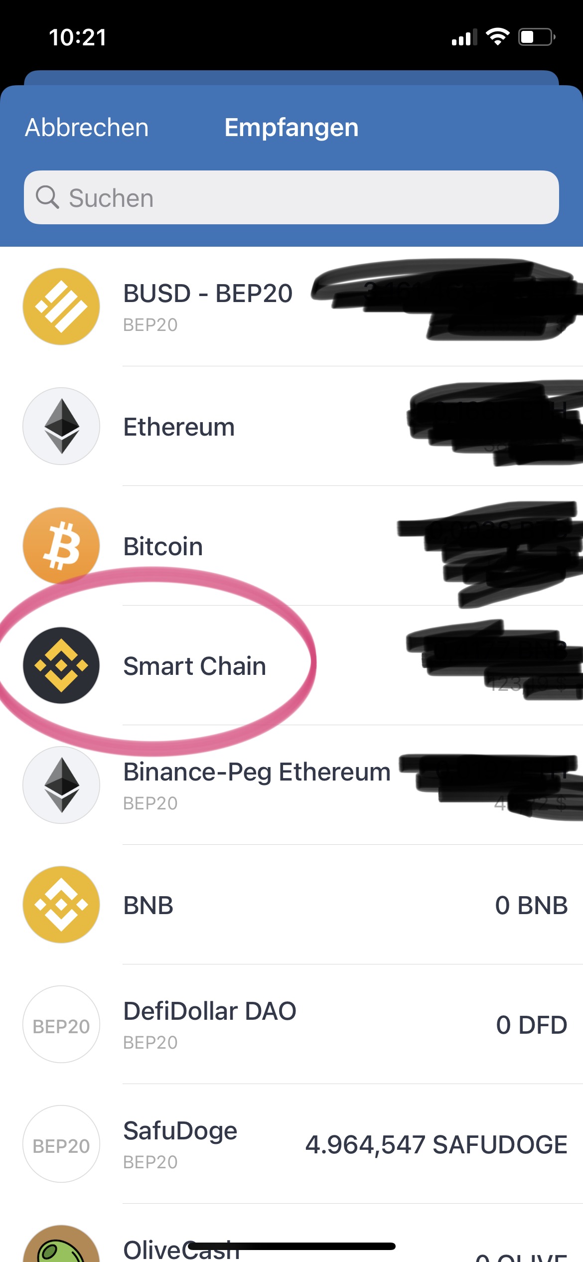 Die Crypto-Währung BNB Smart Chain auf binance.com und an Trust Wallet ...